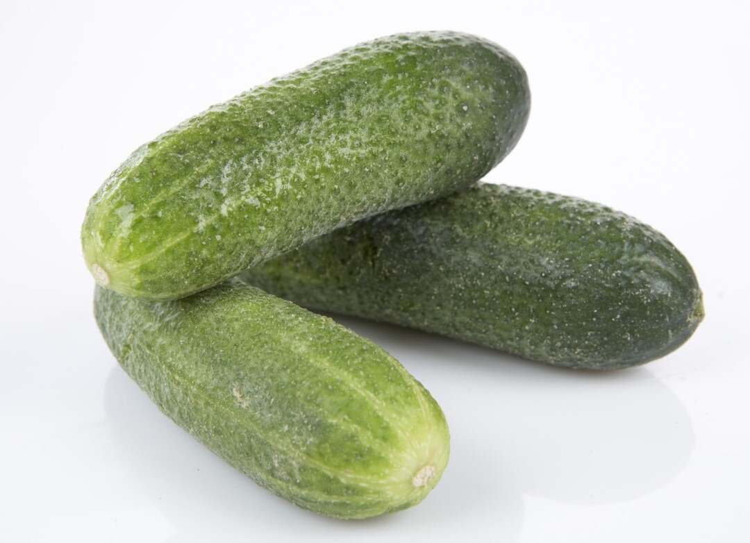 Agurker små sylte kg - sg.no